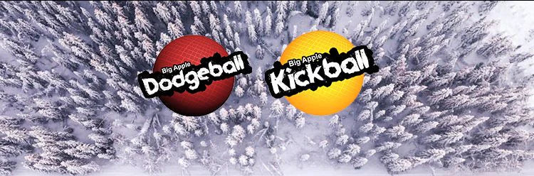 BARS Dodgeball & Kickball – Winter 2025 League Info & Registration Dat ...